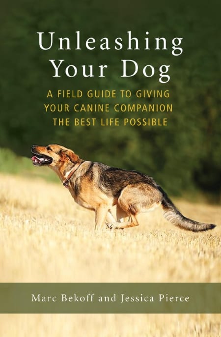 The Field Guide to Unleashing Your Tripawd Dog - Tripawds
