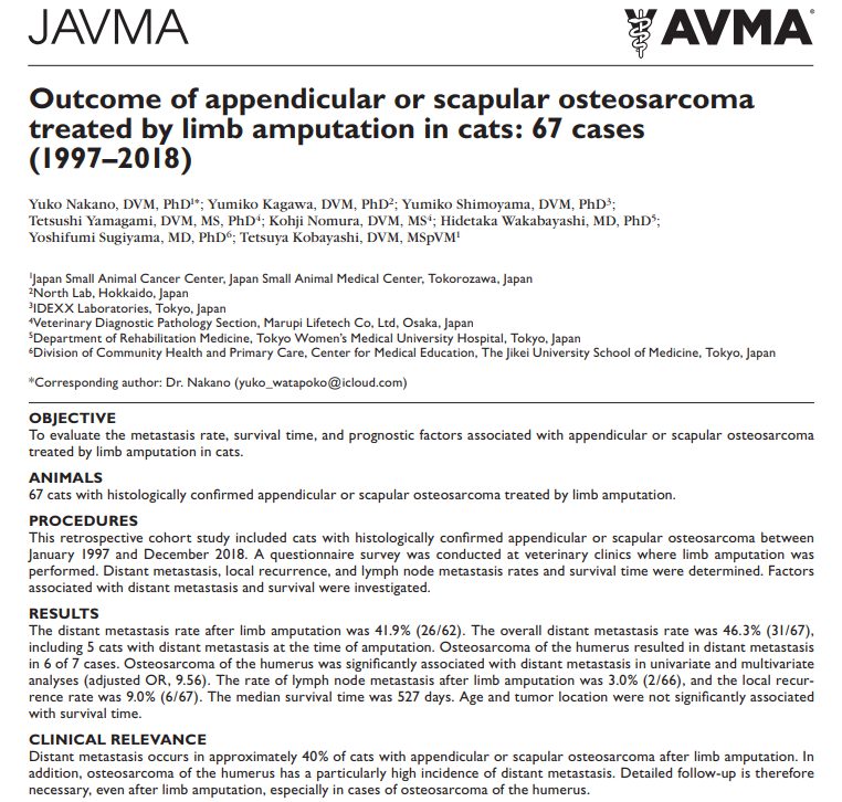 Osteosarcoma Metastasis in Cats Not So Rare After All - Tripawds