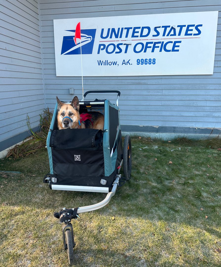 Burley Bark Ranger Dog Stroller is Tripawd Approved